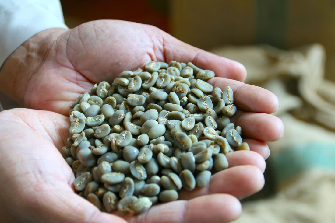 Discover Sumatra and Indonesian Beans in Espresso
